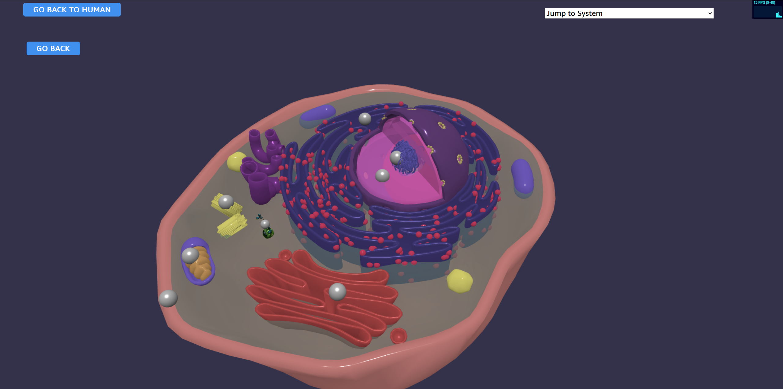 Biology Simulation | Home