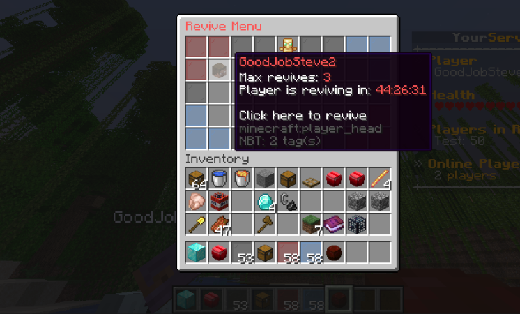 zLifesteal Core | Premium Lifesteal Experience - v1.5-NewReviveSystem | SpigotMC - High ...